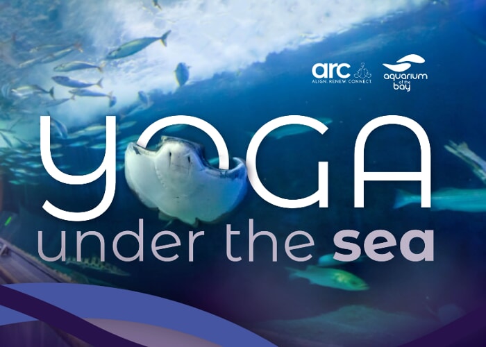 Yoga Under the Sea | Aquarium of the Bay - India Parent Magazine