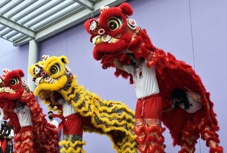 Children of the Dragon: A Vietnamese Heritage Celebration - India ...